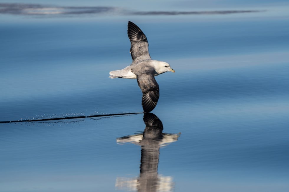 View from the deck: rising sea levels up close - SKIRR Adventures